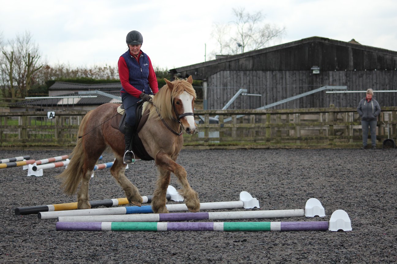 Events : clairewhitfield.co.uk