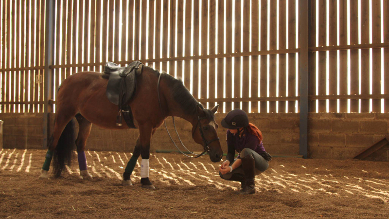 clairewhitfield.co.uk